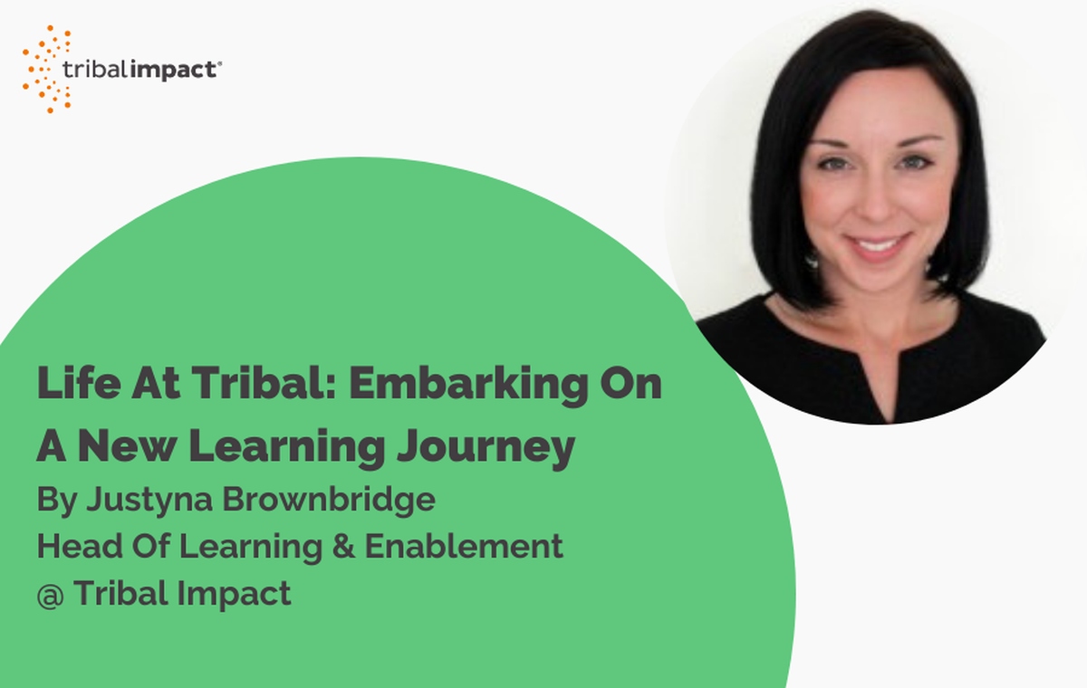 Life At Tribal: Embarking On A New Learning Journey